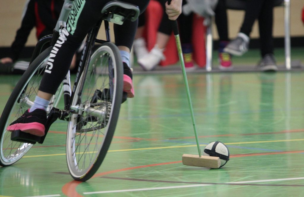 Radpolo: Reideburg und Tollwitz starten verhalten in die 1. Bundesliga ...